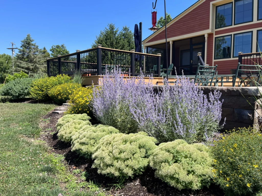 Testimonials and Reviews | Poplar Point Studio